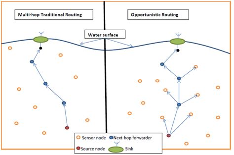 void avoiding opportunistic routing protocols for underwater wireless