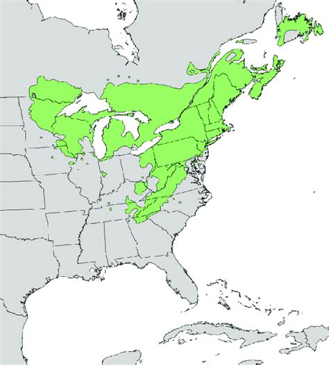 Natural Distribution Range Of Pinus Strobus Adopted From