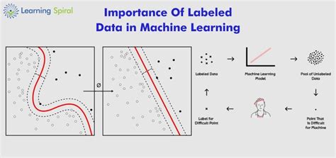 Importance Of Labeled Data In Machine Learning By Data Labeling