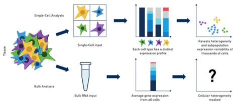 微观探索人体奥秘 037 单细胞测序——概念及发展历程 知乎
