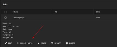 How To Install Agent On TrueNAS CORE In The Jail Resilio Active Everywhere