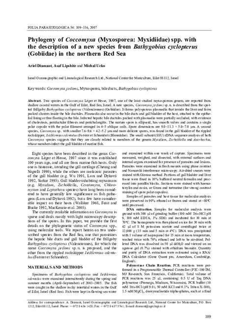 Pdf Phylogeny Of Coccomyxa Myxosporea Myxidiidae Spp With The