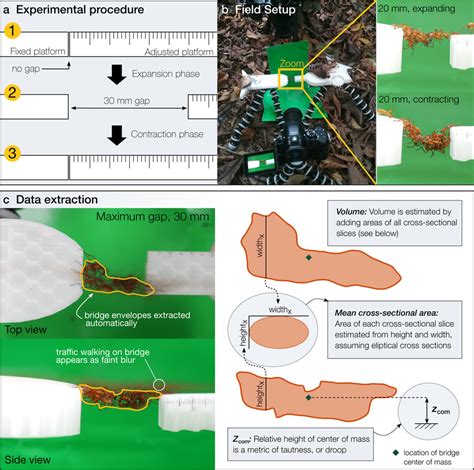 experimental procedure and data extraction summary experiments were