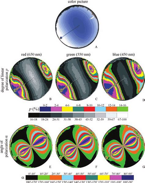 Color Online Color Photograph A And Patterns Of The Degree Of