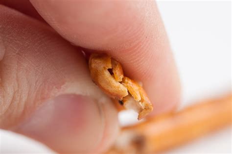 흰색 배경에 고립 된 짠 크래커 프레첼 스틱 공간을 복사합니다 0명에 대한 스톡 사진 및 기타 이미지 0명 갈색 개체 그룹 Istock