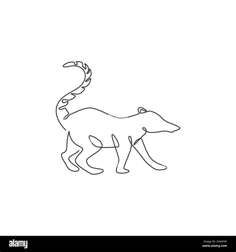 Single Continuous Line Drawing Of Adorable Coati For Company Logo Identity Ring Tailed Mammal