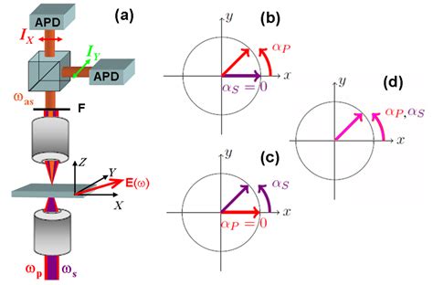 2 The Three Schemes Of Polarization Tuning Used In This Work A