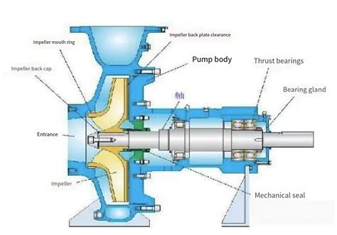 What Is The Difference Between A Centrifugal Pump And An Axial Flow Pump Shanghai Gaotian