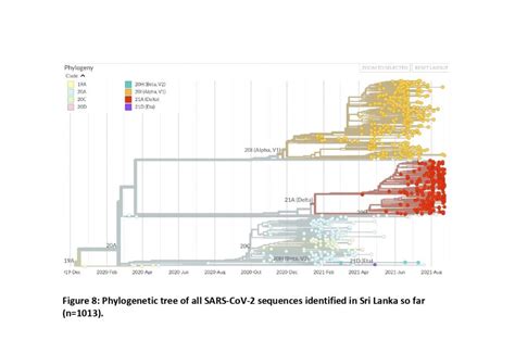 Sequencing Report 3 Usj University Of Sri Jayewardenepura Sri Lanka