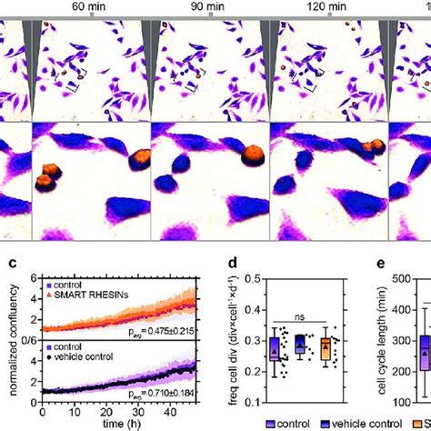 A Phenolic Resin Pf Polymerization Reaction Equation B Schematic