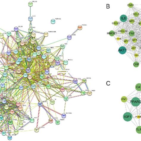 ppi network of the overlapping target proteins a ppi network of the