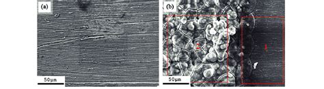 A Sem Micrograph Of Surface Morphology Of An Unprocessed Ti Sample