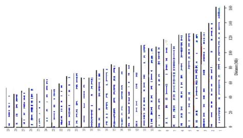 The Distribution Of The 1 524 Polymorphic Snps In Wb And Haplotype