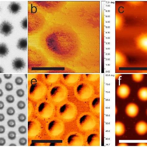 Core Shell Structure Of Microgel With 2 5 Mol Crosslinking Density Download Scientific