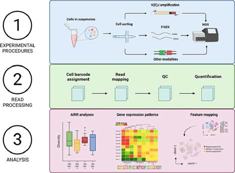 New Review On Single Cell T Cell Receptor Repertoire Analysis