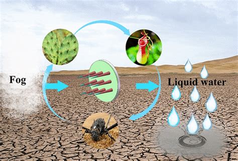 Wettability Gradient Surfaces