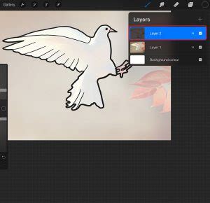 How To Accurately Trace An Image In Procreate Best Brushes Tips