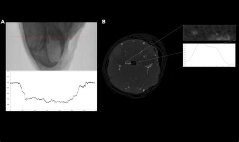 Cell Press Star Protocols