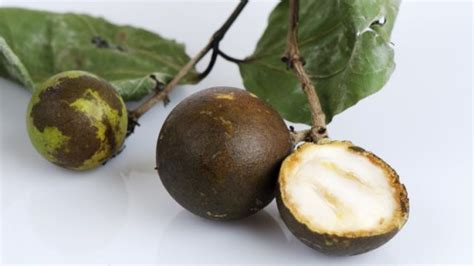 Strychnine Gnostic Muse