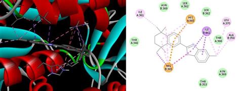 Binding Mode Of Compound 6 Download Scientific Diagram