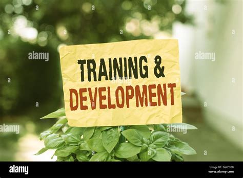 word writing text training and development business concept for learn