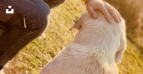 갈색 티셔츠와 파란색 데님 청바지를 입은 여자가 흰색 옆의 갈색 잔디밭에 앉아 있습니다 사진 Unsplash의 무료 개 이미지