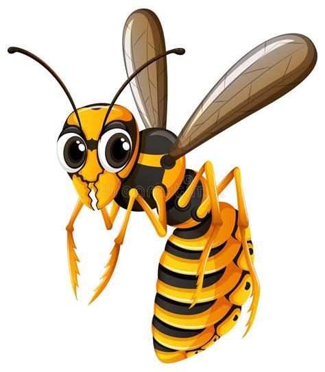 Wasp Flying On White Background Stock Vector Illustration Of Graphic