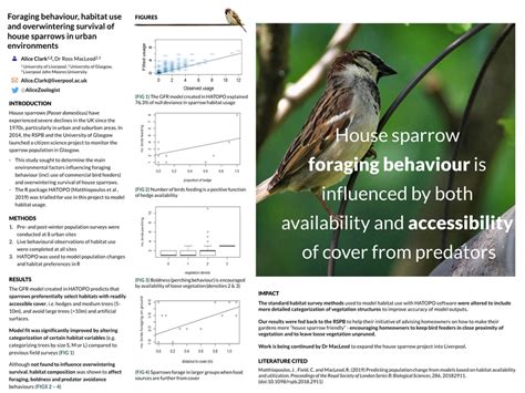 Pdf Foraging Behaviour Habitat Use And Overwintering Survival Of