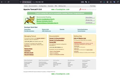 how to install apache tomcat 11 on rhel 9 centos stream 9 cloudspinx