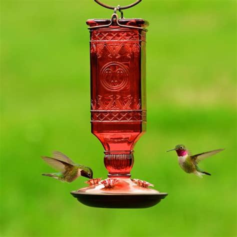 Decorative Hummingbird Feeder Shelly Lighting