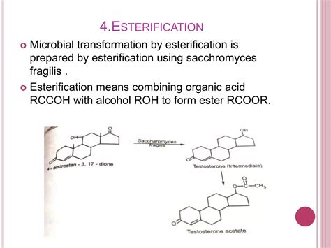 Microbial Biotransformation Pptx