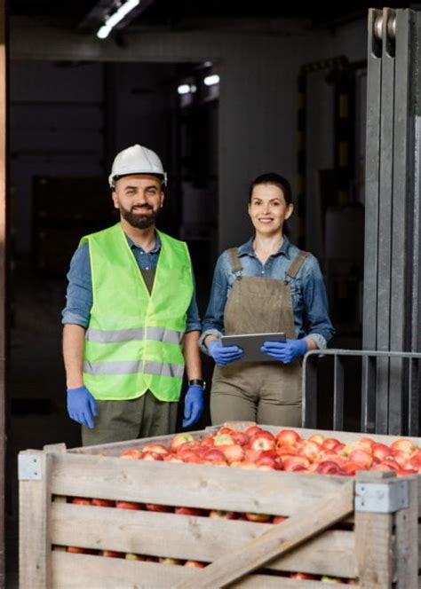Warehouse Network Optimization Services HCO Innovations