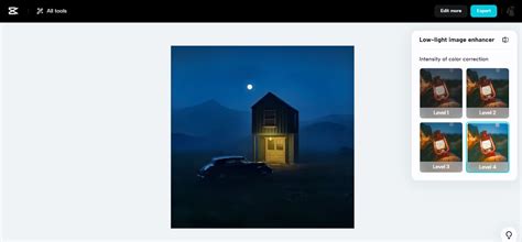 Top Tools For Brightness Photo Online For Dark Photo