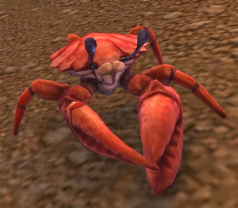 Surf Crawler Warcraft Wiki Your Wiki Guide To The World Of Warcraft