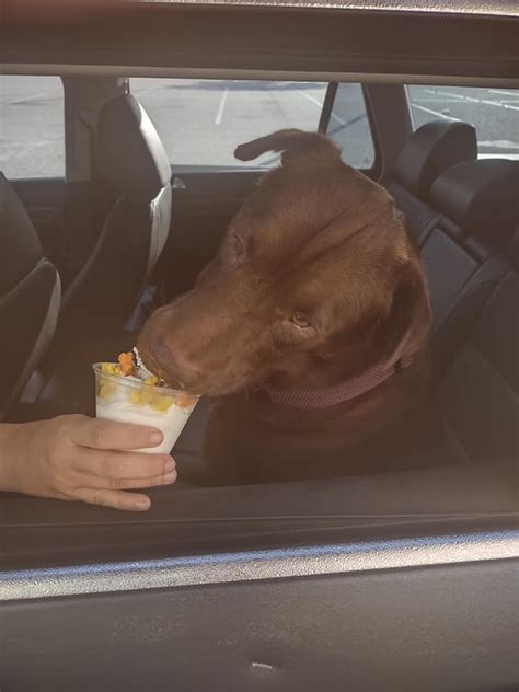 Java Hut Mobile Java Hut Mobile Added A New Photo