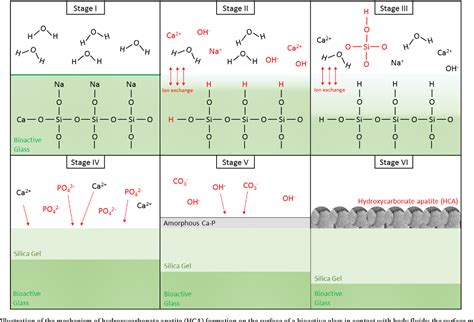 Figure 1 From Polylactide Based Materials Science Strategies To Improve Tissue Material