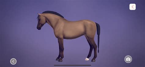 My Cutest Crossbreeds Requestrianthegame