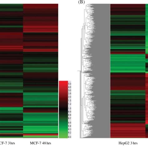 Hierarchical Clustering Image Showing The Differential Gene Expression Download Scientific