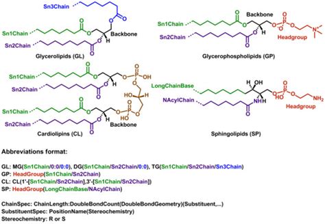 lipid categories amenable to the combinatorial enumeration of virtual