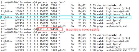 linux命令之终止进程kill csdn博客