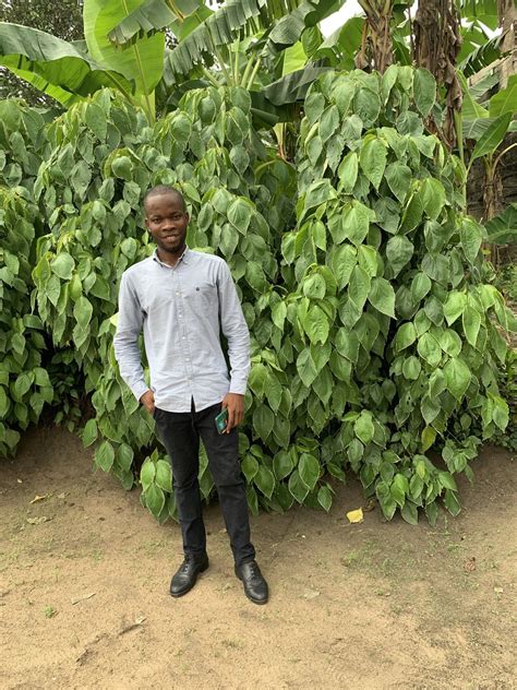 chiemela uzoma on linkedin as we look forward to another productive