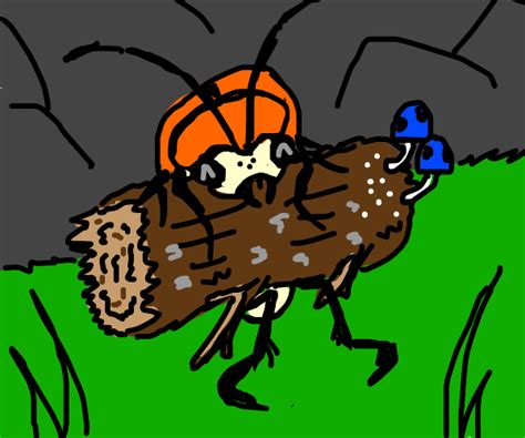 Cockroach Eating Popcorn Drawception