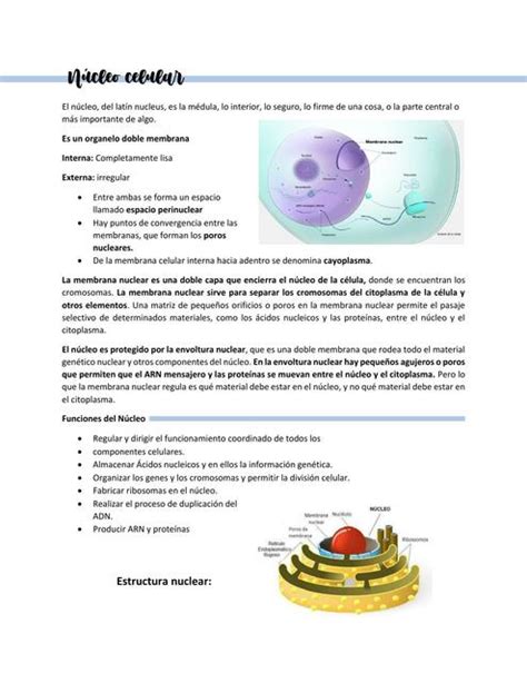 Núcleo Celular Y Genética Diego Josue Sevilla Gonzalez Udocz