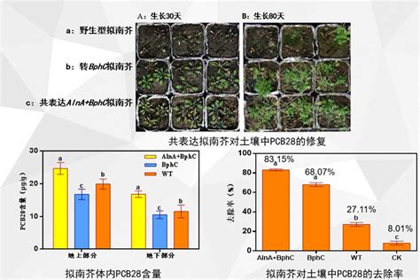 污染场地原位修复技术及装备研发平台 吉林大学能源石化