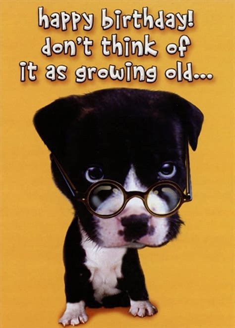 Happy Birthday Funny Dog Meme