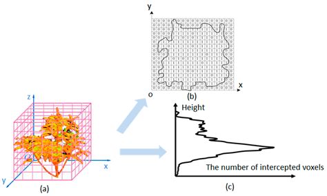 remote sensing free full text estimating leaf area density of