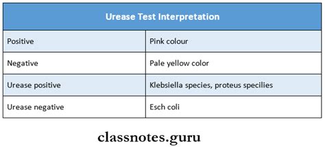 Identification Of Bacteria Question And Answers Class Notes