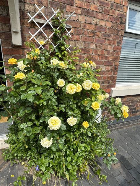 Grace Ellen Beauty Added A New Photo Grace Ellen Beauty