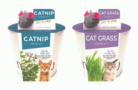 Catnip And Cat Grass Grow Kit