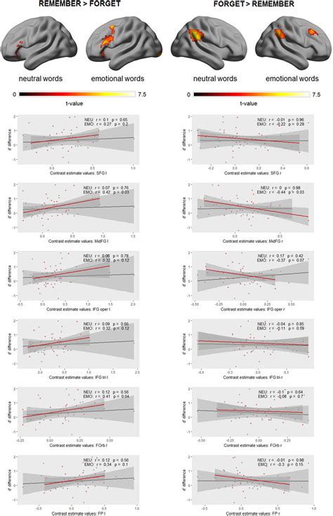 whole brain statistical parametric maps representing brain activation